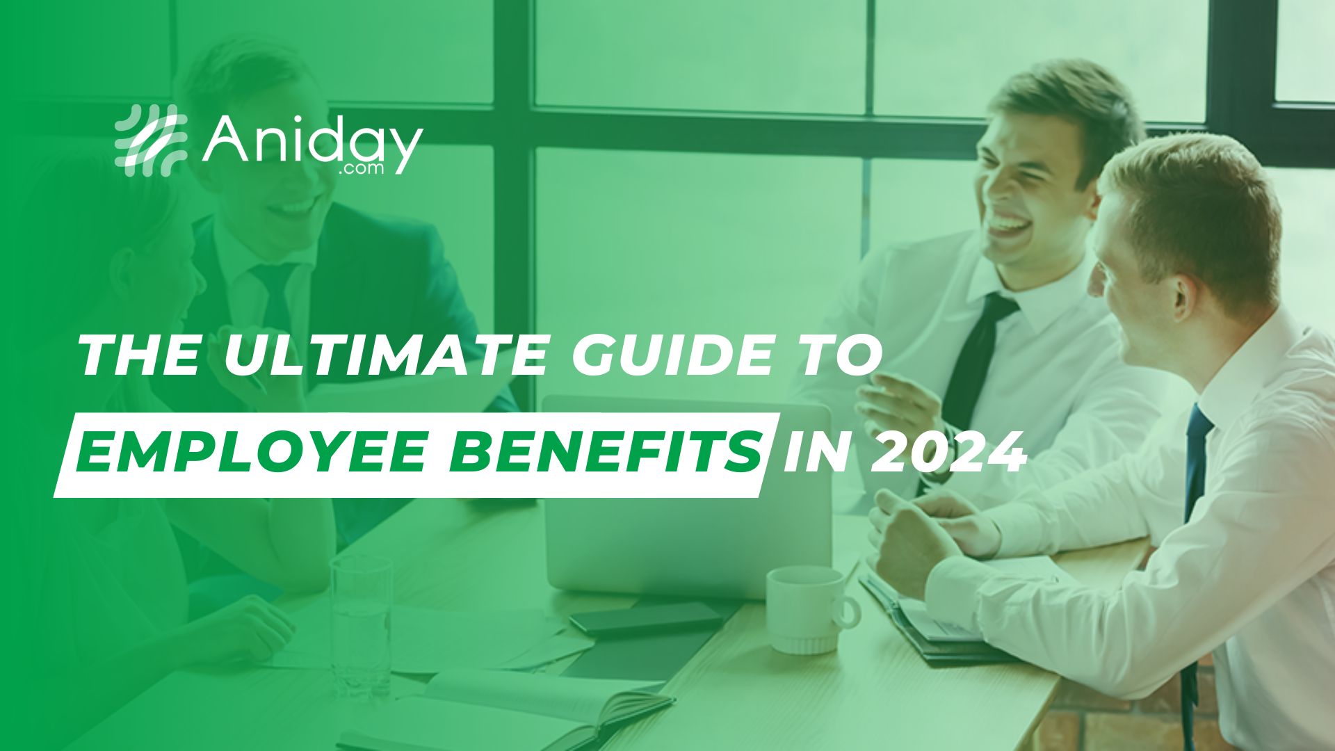 The Ultimate Guide to Employee Benefits in 2024 | Aniday